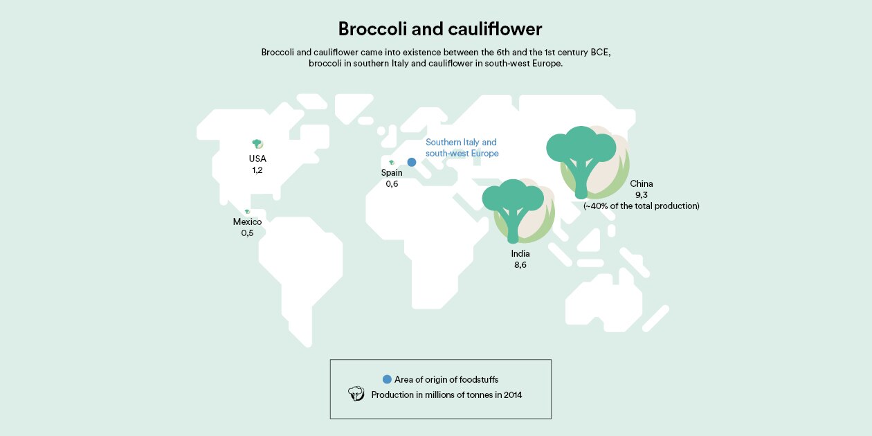 Where does our food come from? | alimentarium
